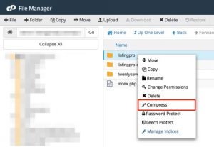 How to Backup and Update ListingPro WordPress theme? – ListingPro Documentation